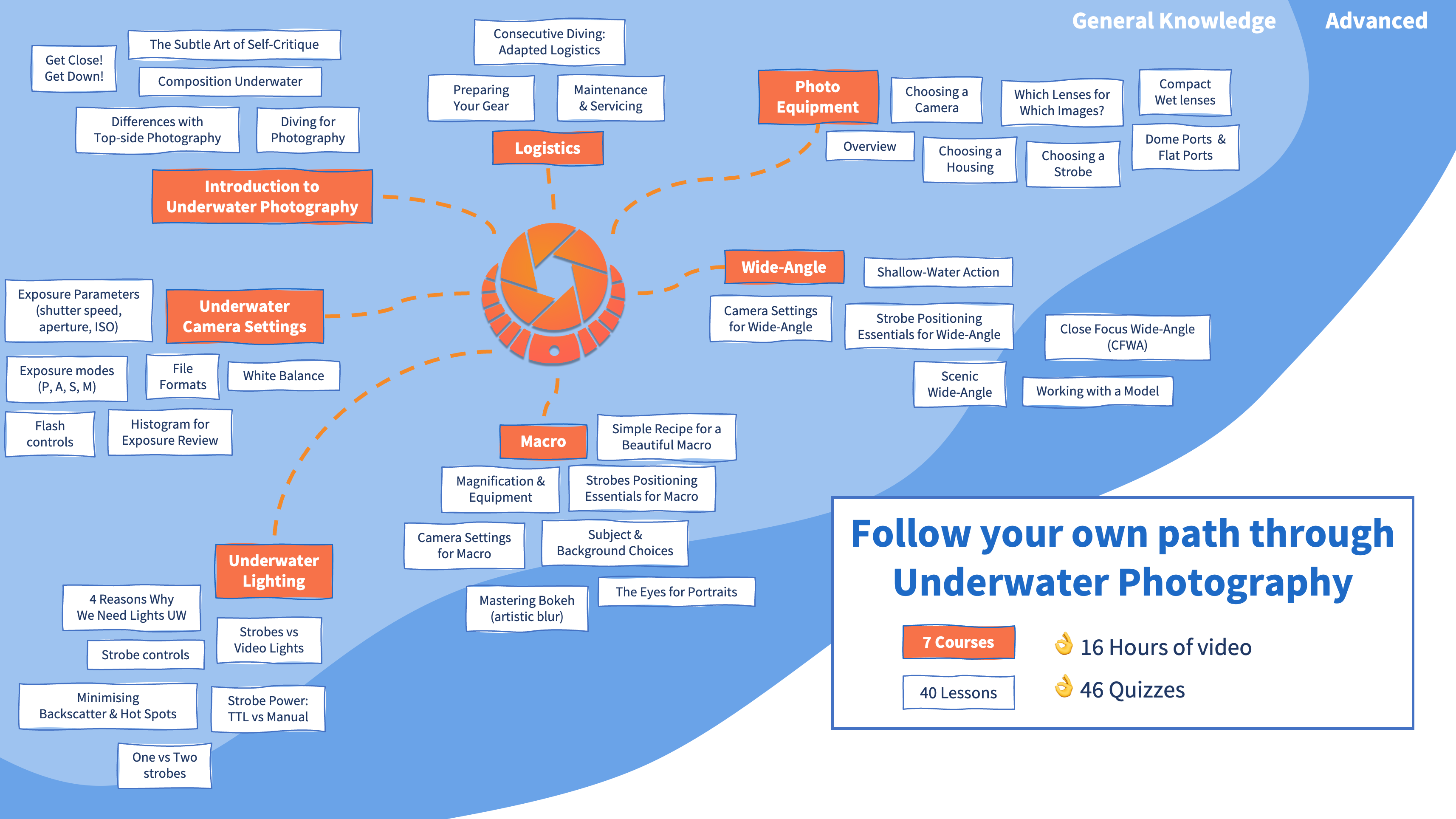 Underwater Photography Courses - The Underwater Club