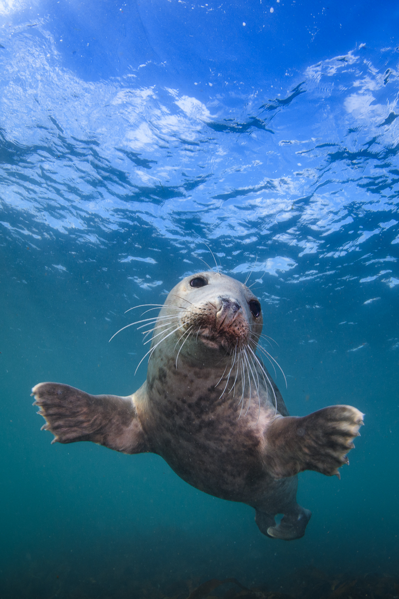 Thank you Club Member Monthly - The Underwater Club