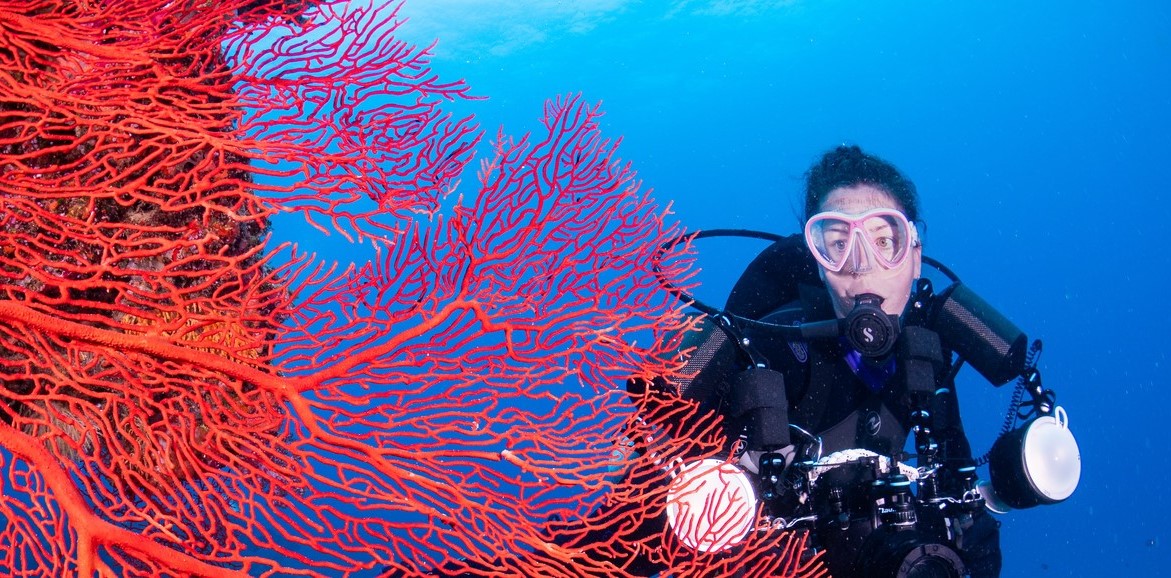 Forums – The Underwater Club