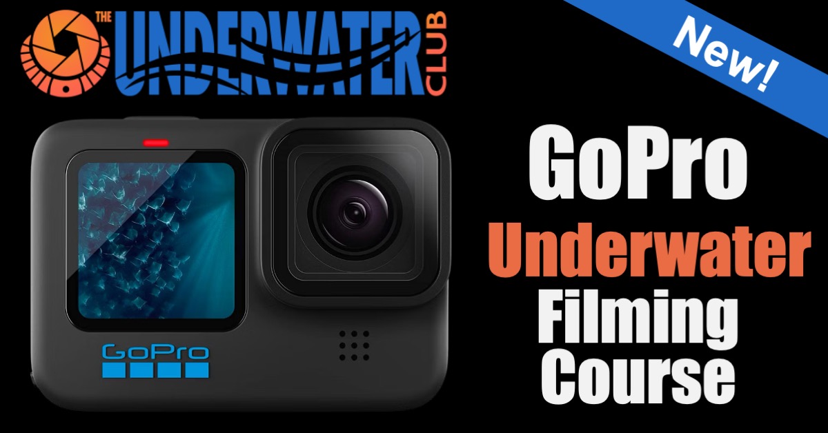 GoPro Underwater Course