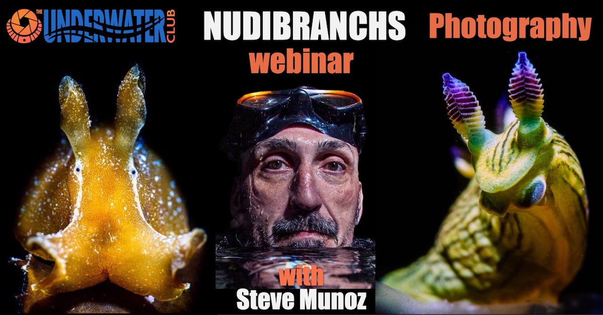 Webinar 2024-10: Nudibranchs Photography with Steve Coutts Munoz - The ...