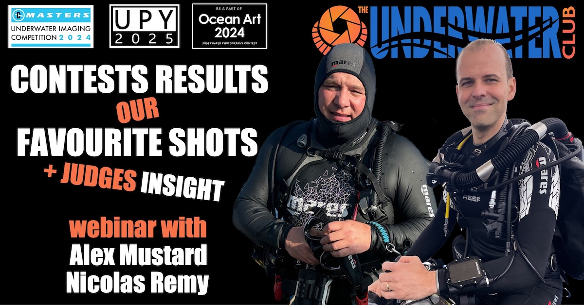 Underwater Photo Competitions Review with Alex Mustard and Nicolas Remy