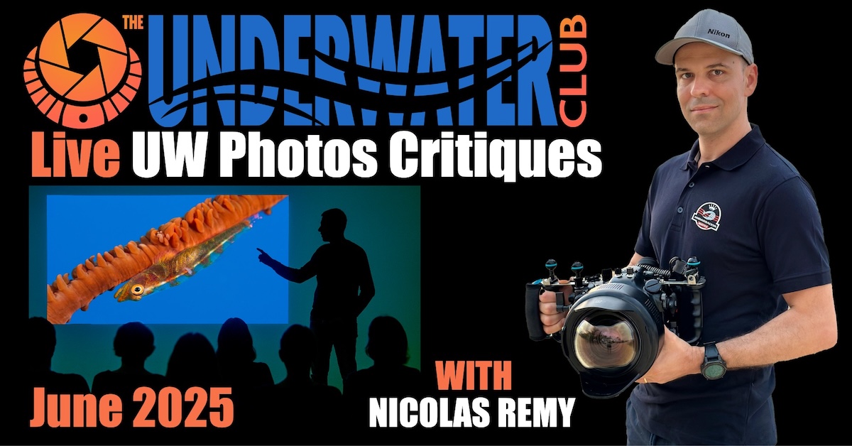 Webinar June 2025: Live Underwater Photos Critiques, with Nicolas Remy