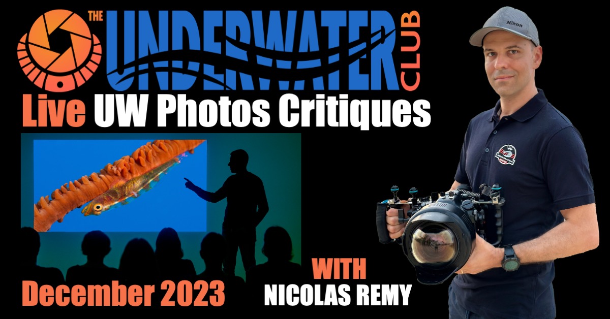 Webinar 2023-12: Live Underwater Photos Critiques, with Nicolas Remy ...