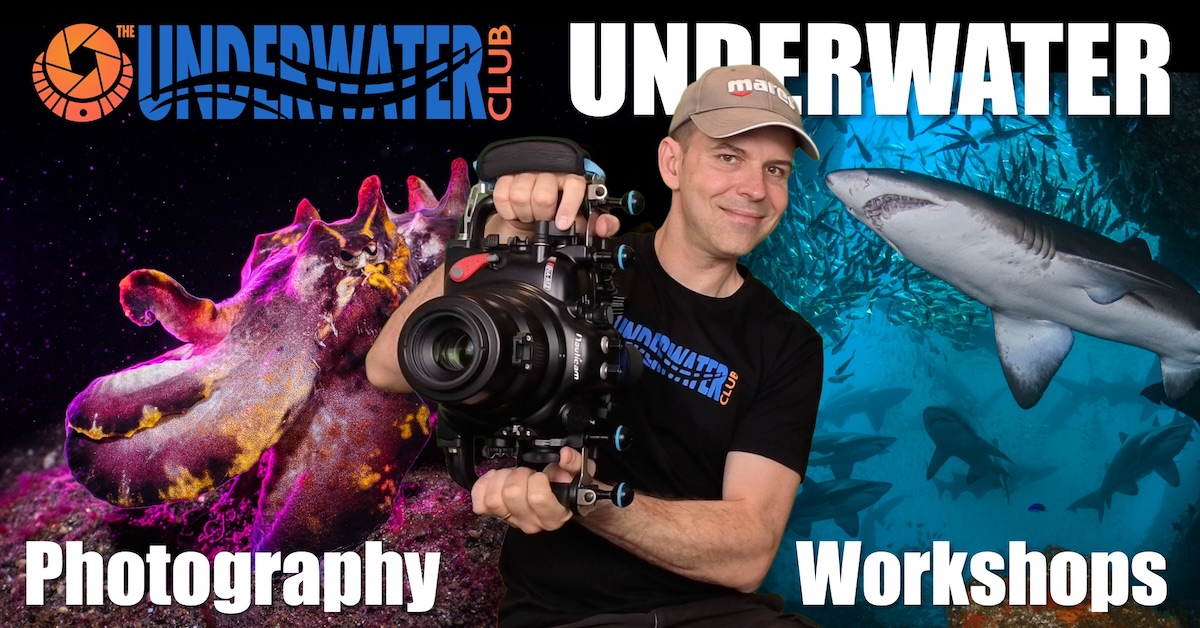 Our Next Underwater Photography Trips